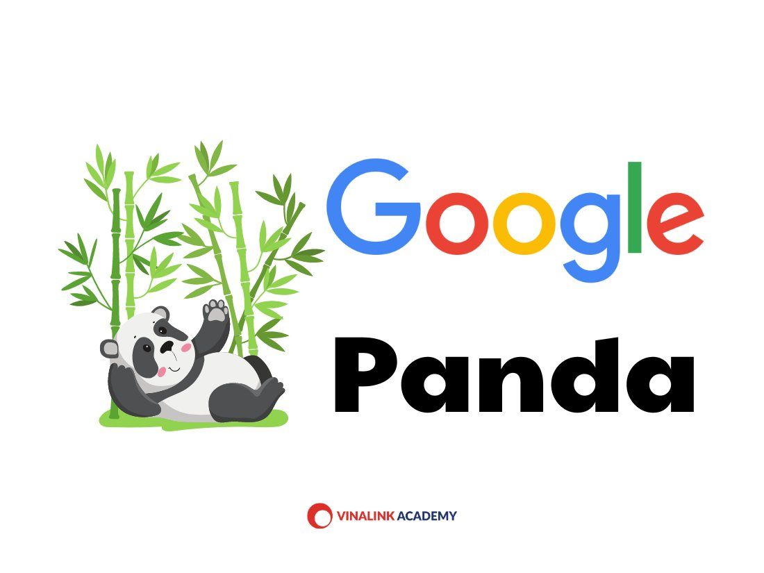 Google Panda: Khái niệm, nguyên nhân và cách khắc phục